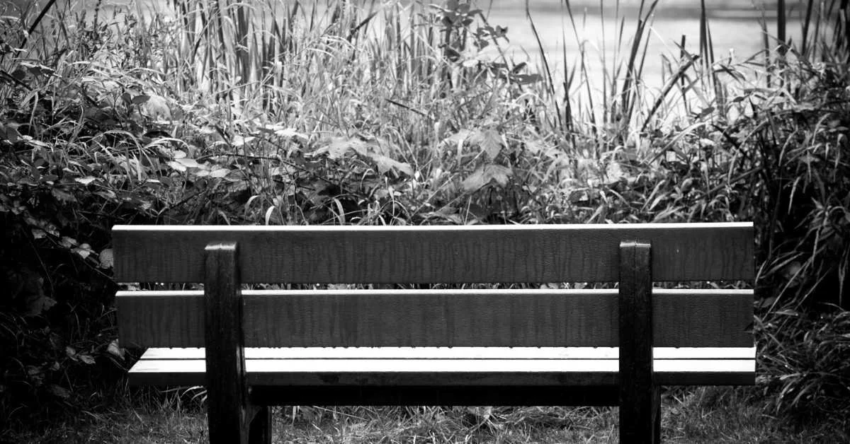 Loneliness & Mental Health in Seniors — alamiclinic.com