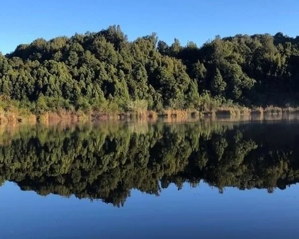 Rotokare Scenic Reserve
