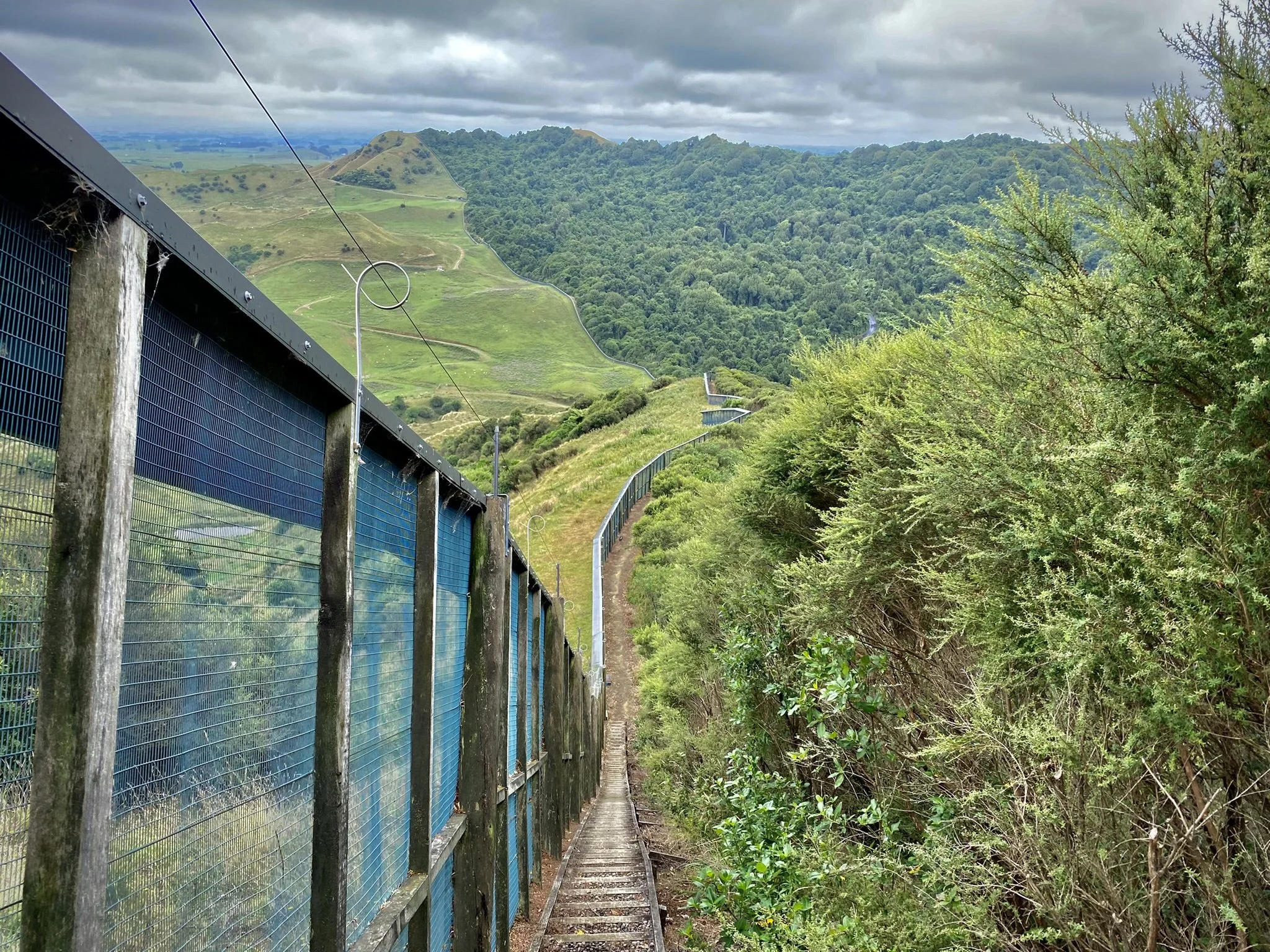 Sanctuary — Rotokare Scenic Reserve
