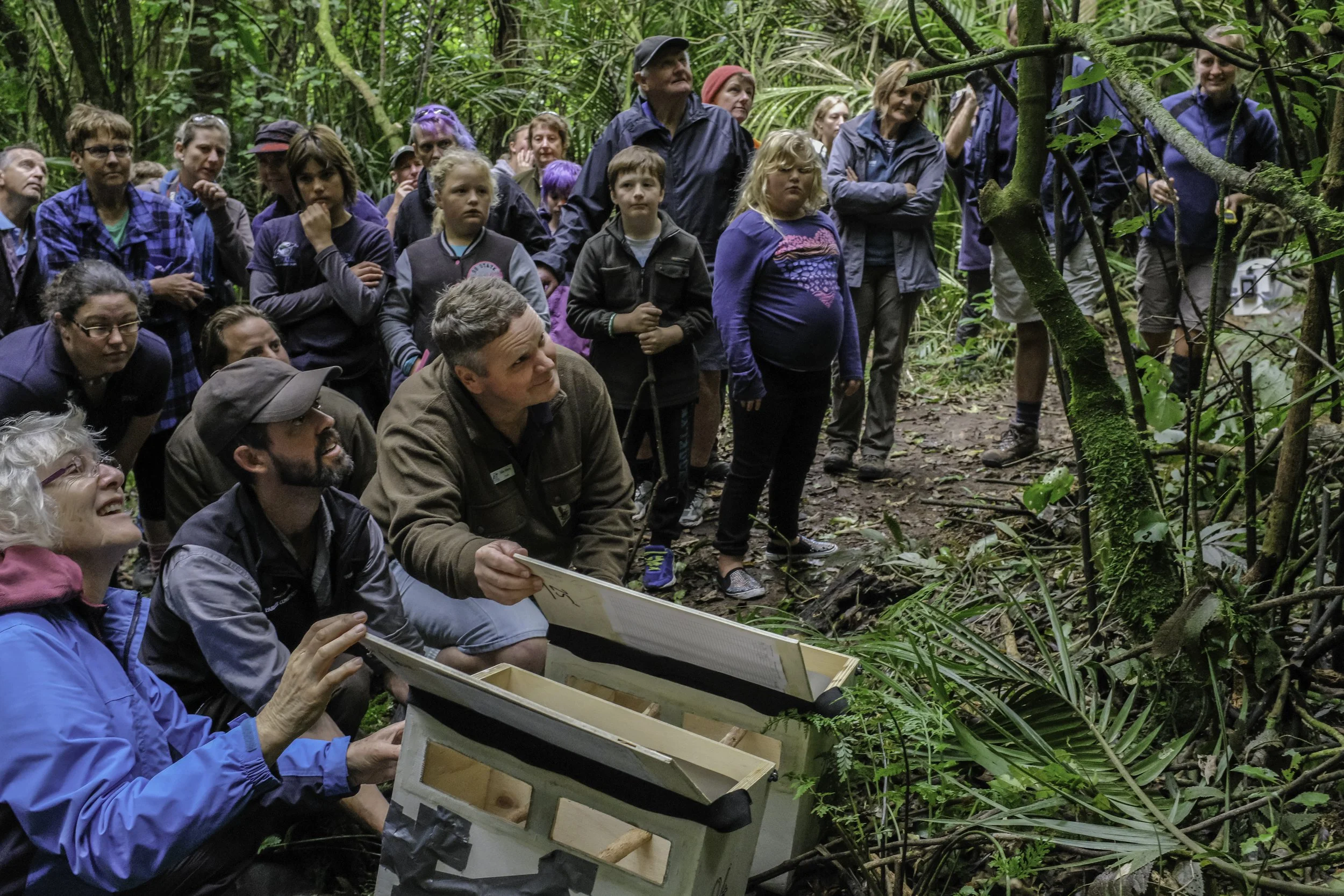Sanctuary — Rotokare Scenic Reserve