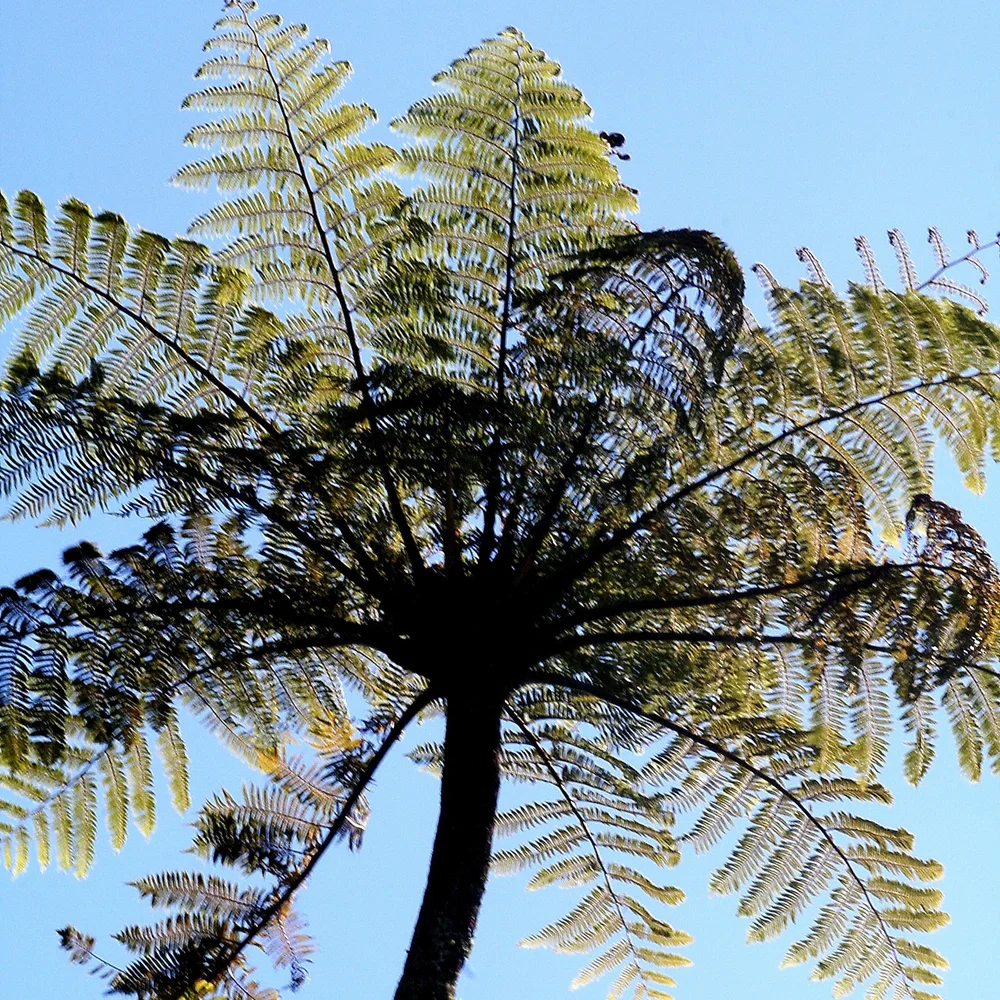 Wildlife — Rotokare Scenic Reserve
