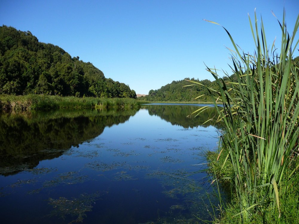 Tracks & Facilities — Rotokare Scenic Reserve