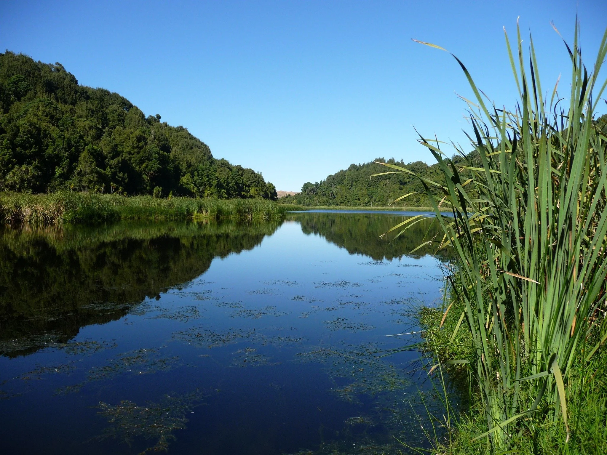 Tracks & Facilities — Rotokare Scenic Reserve