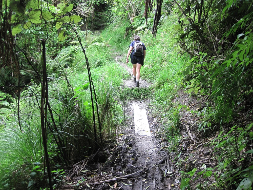 Tracks & Facilities — Rotokare Scenic Reserve
