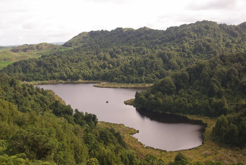 Education Bookings — Rotokare Scenic Reserve