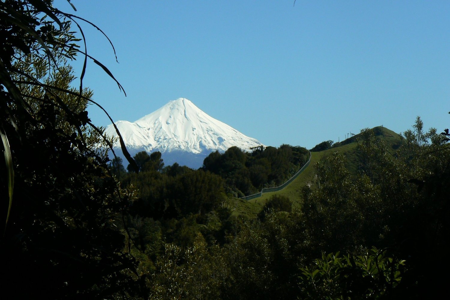 Get Involved — Rotokare Scenic Reserve