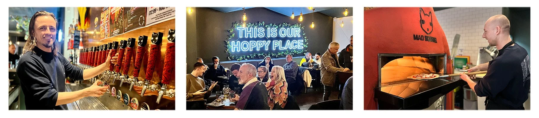 MAD SQUIRREL WATFORD TAPROOM Mad Squirrel Watford is a vibrant bar just ...