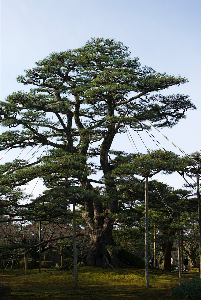 Kanazawa’s Top Attractions! — RamblingRamsbothams