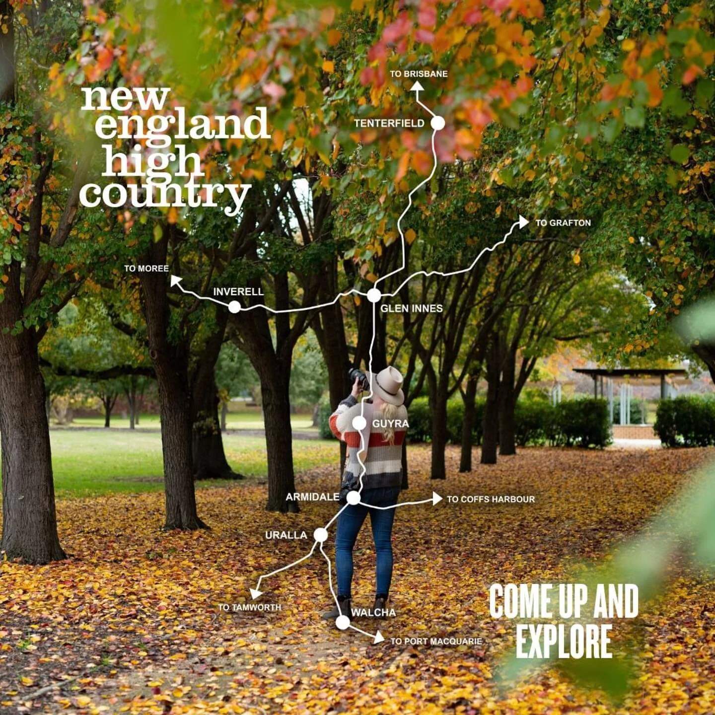 Tenterfield Lodge & Caravan Park