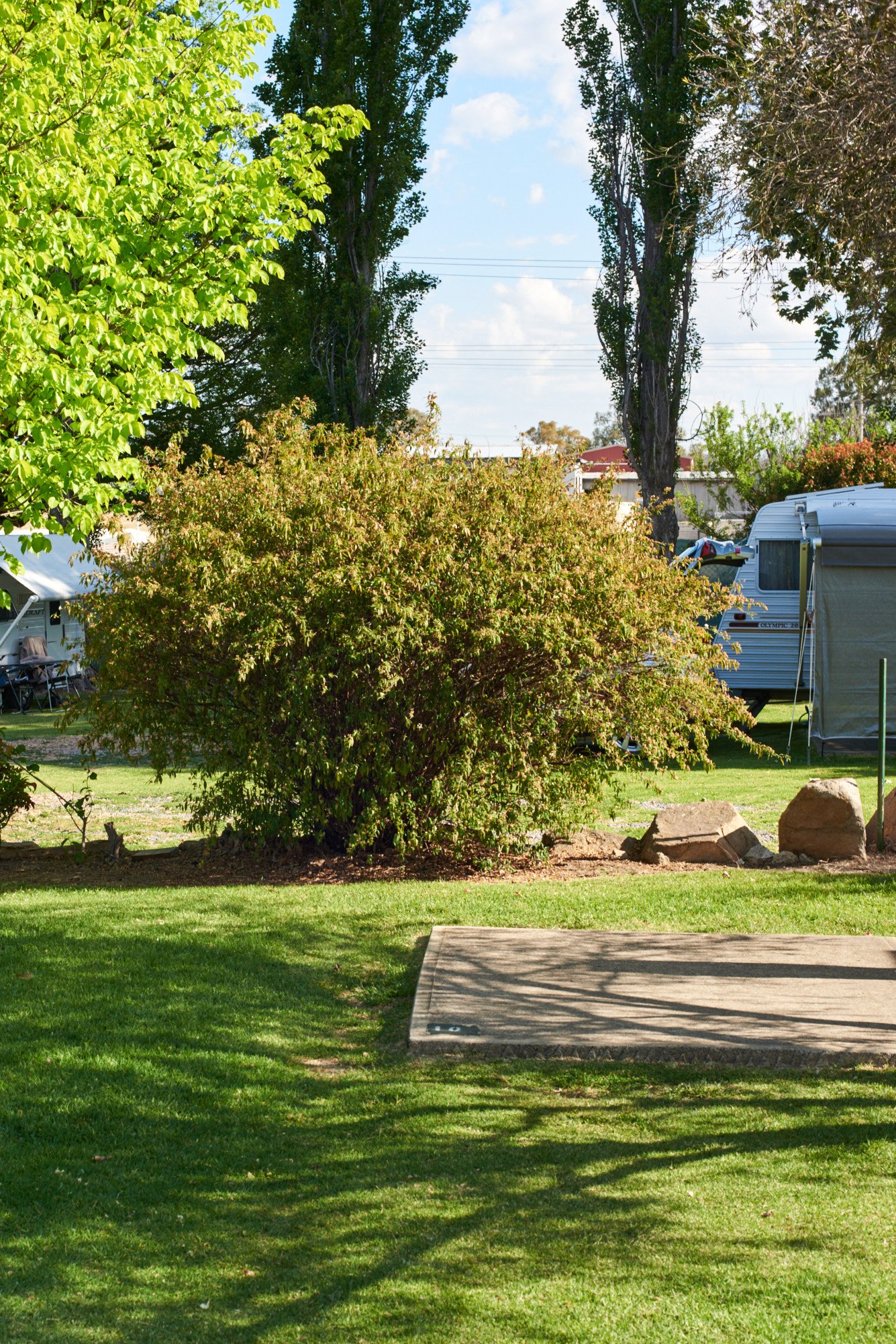 Powered Site - Tent — Tenterfield Lodge & Caravan Park