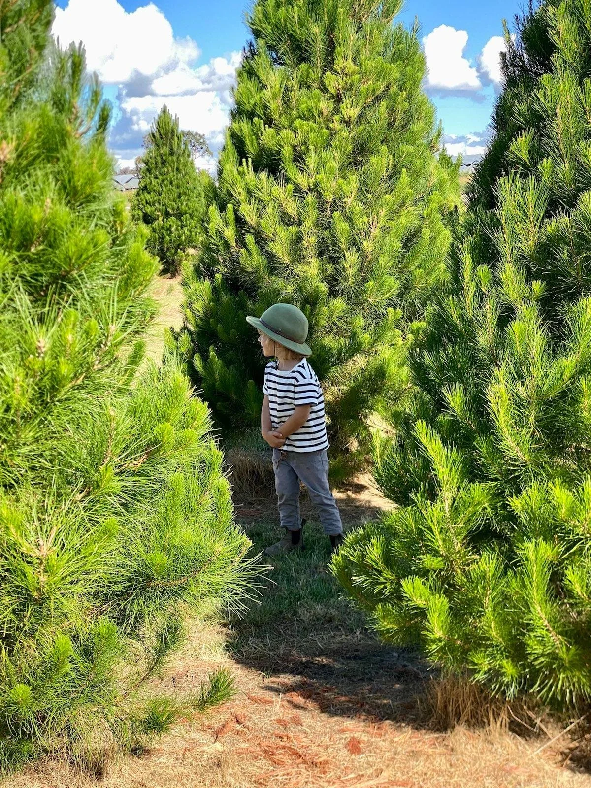 Things to Do — Tenterfield Lodge & Caravan Park