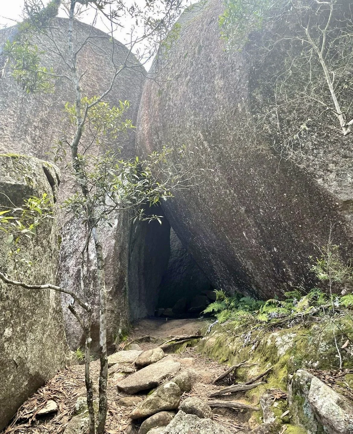 Things to Do — Tenterfield Lodge & Caravan Park