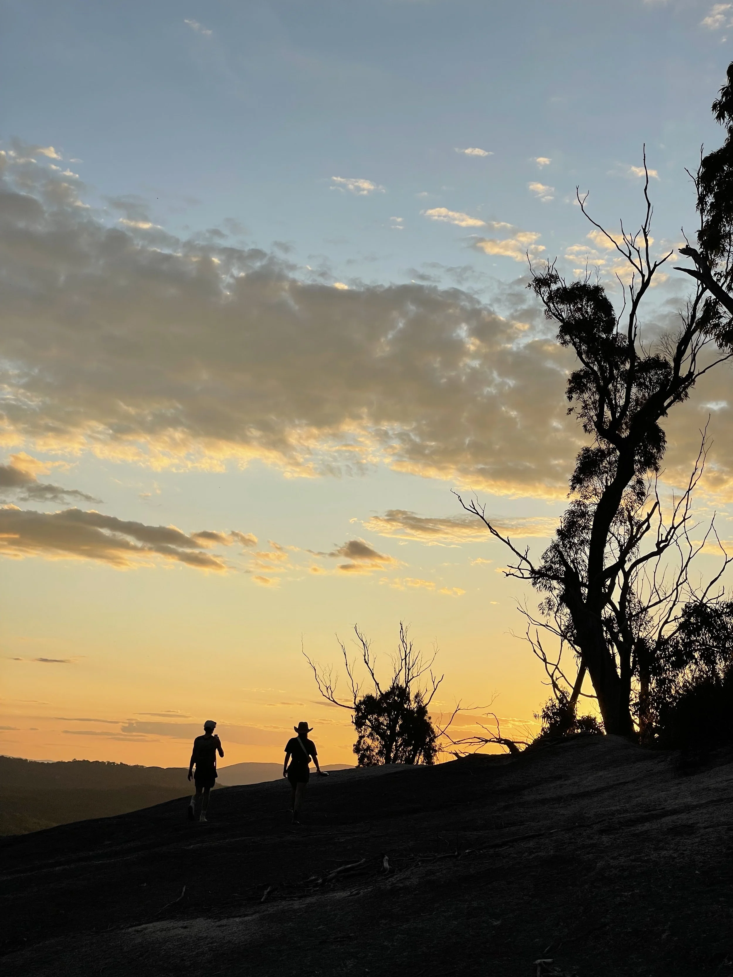 Tenterfield Lodge & Caravan Park