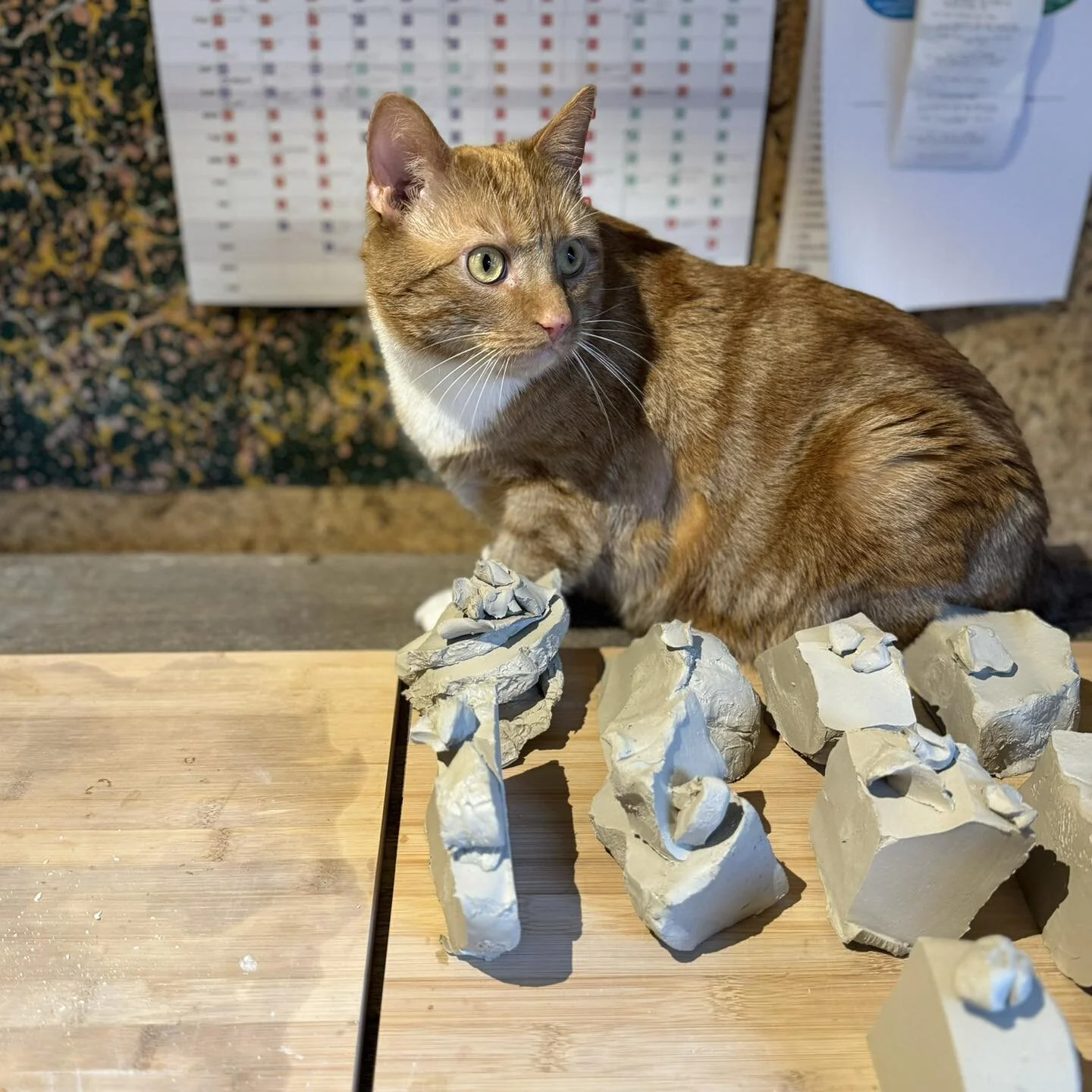 Why do we love our mugs so much? — Amy Rutherford Ceramics