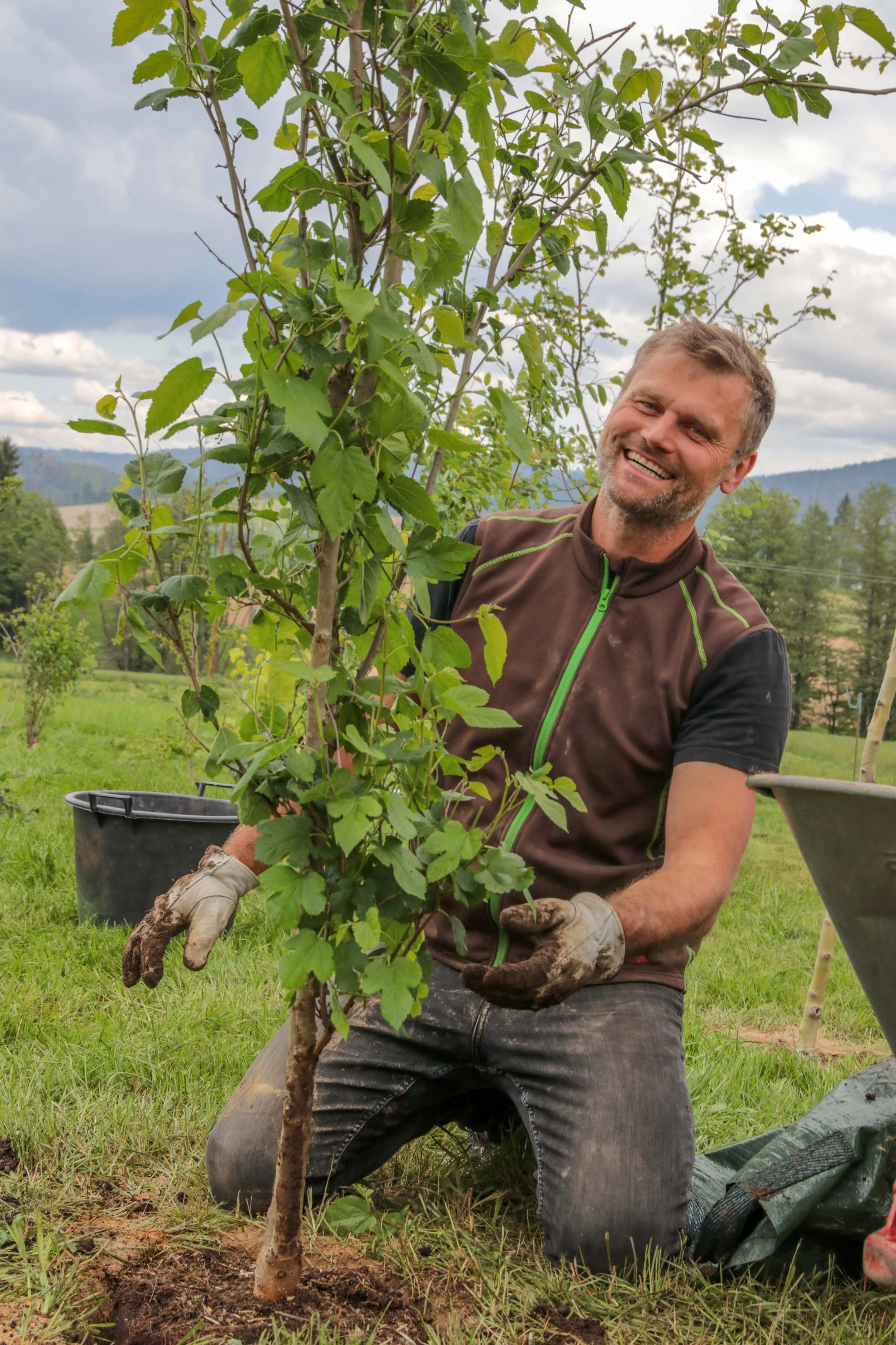 Über mich — MB Baumpflege