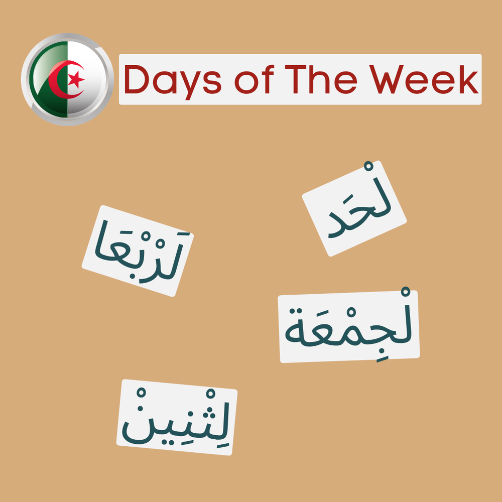 Vocabulary | Algerian with Mona || Learn how to speak Algerian Arabic ...