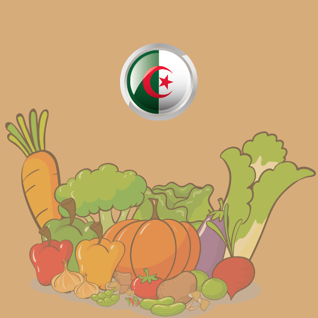 Vocabulary | Algerian with Mona || Learn how to speak Algerian Arabic ...