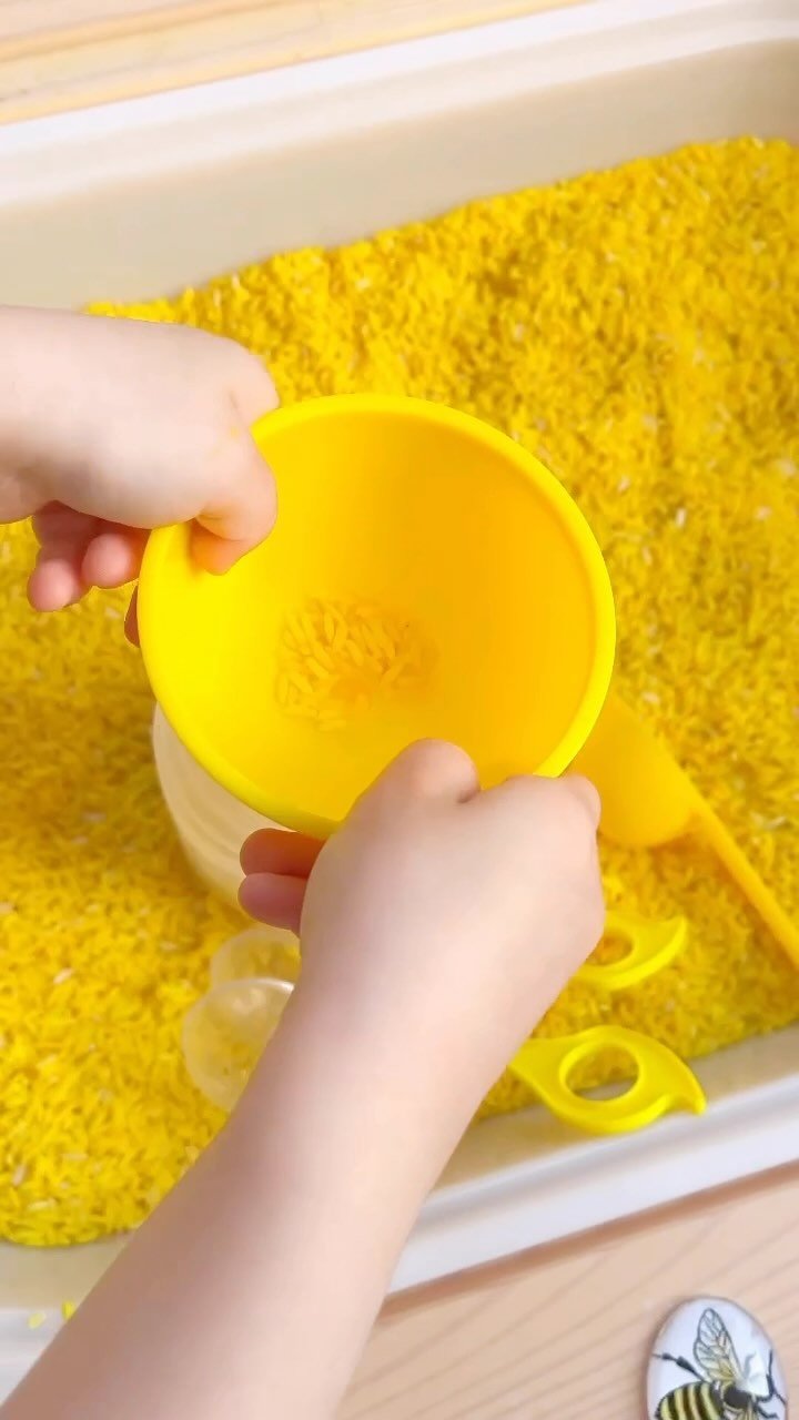 FREE Task Box Activities for Special Education, Preschool, Kindergarten ...