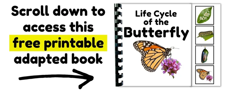 LIFE CYCLES ADAPTED BOOKS / ADAPTIVE BOOKS FOR SPECIAL EDUCATION FREE ...