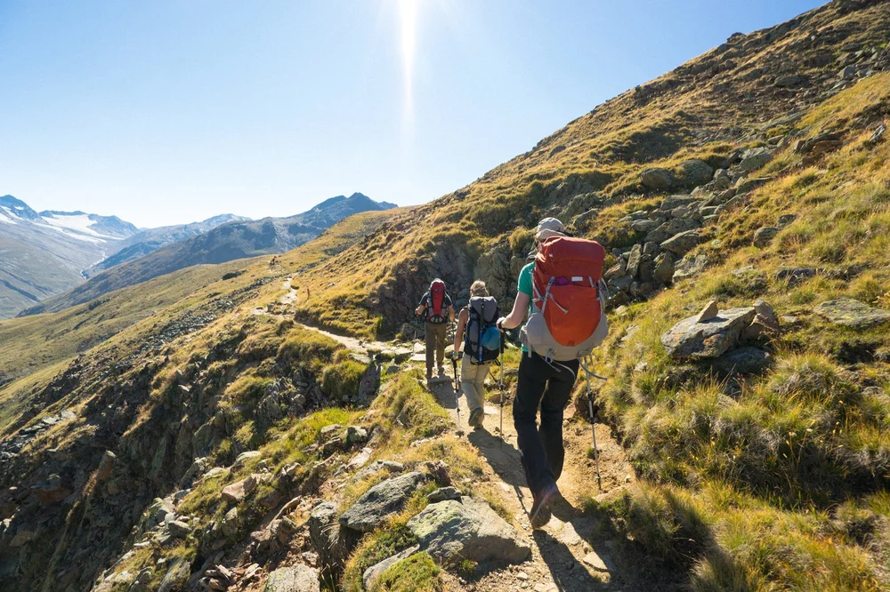 Path to Progress Program