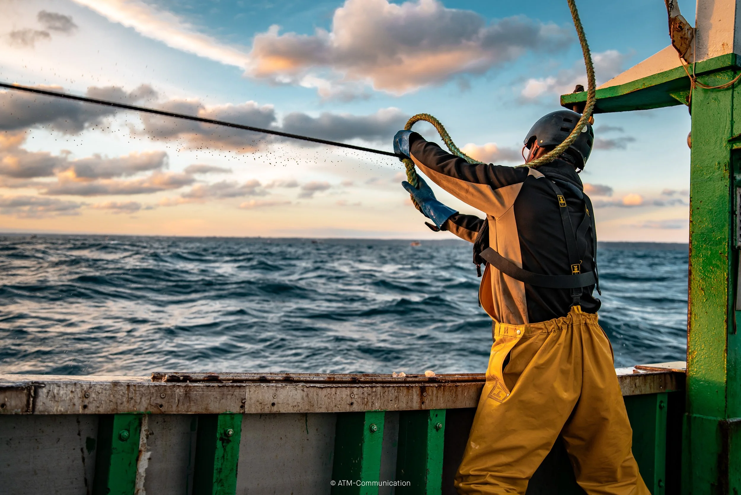 MSC - La pêche de la Coquille-Saint-Jacques — ATM COMMUNICATION