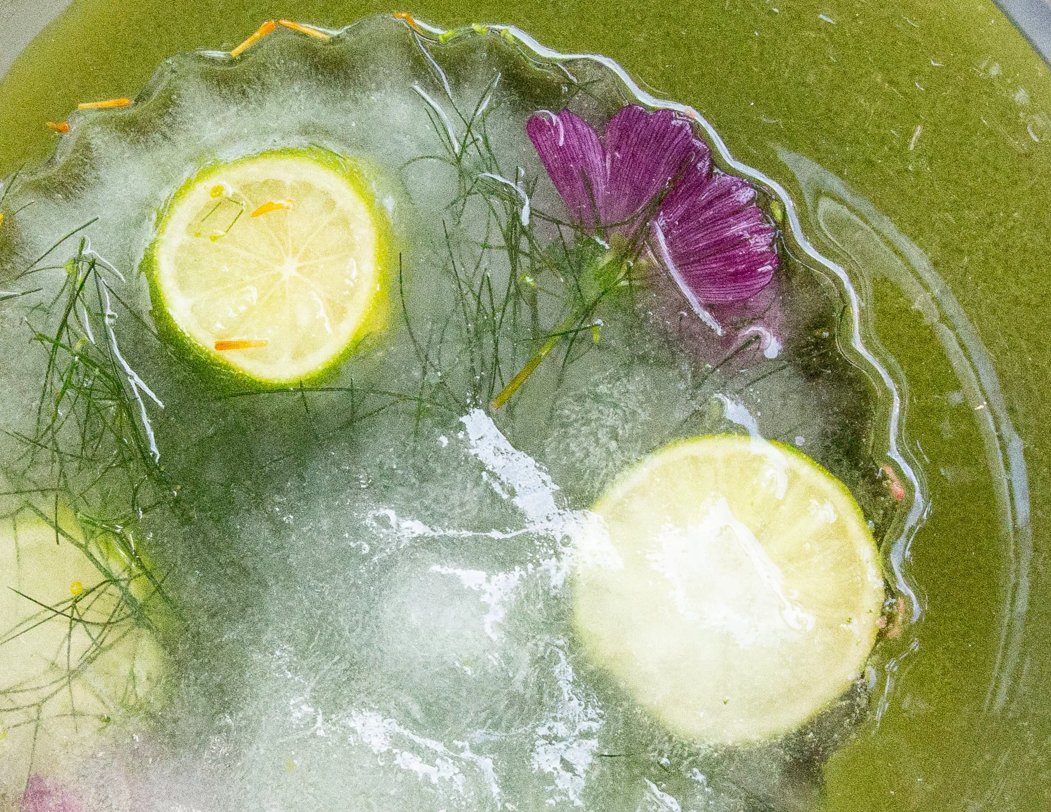 Fancy Feast Supper Club