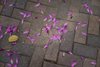 Honoring the Matriarch: What It Means to Lead, to Lose, and to Carry ...