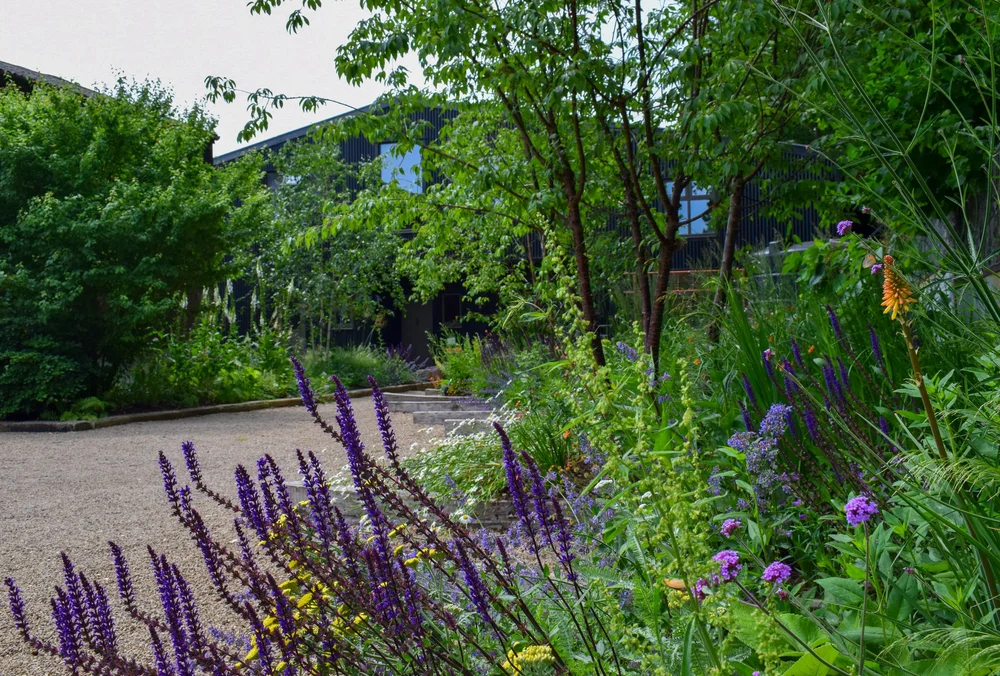 JND Landscape Studio
