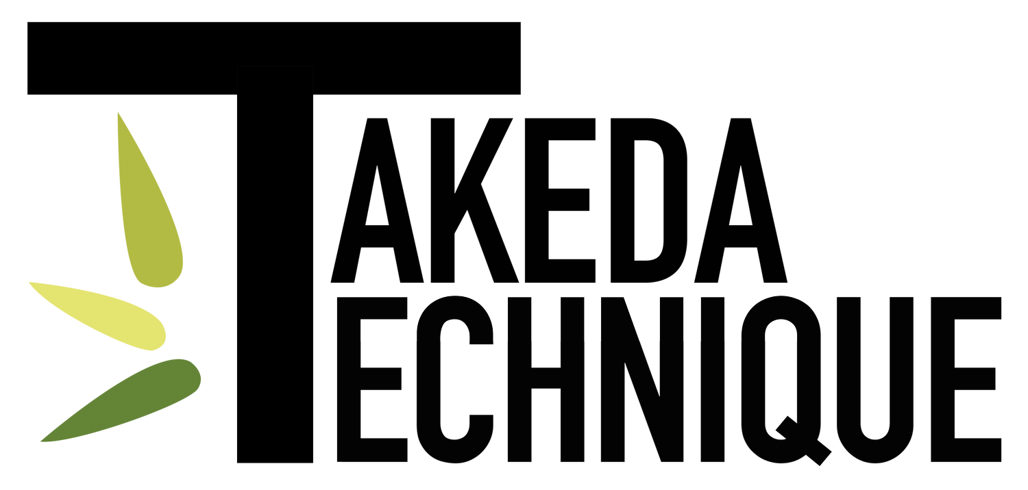 Our classes — Takeda Technique