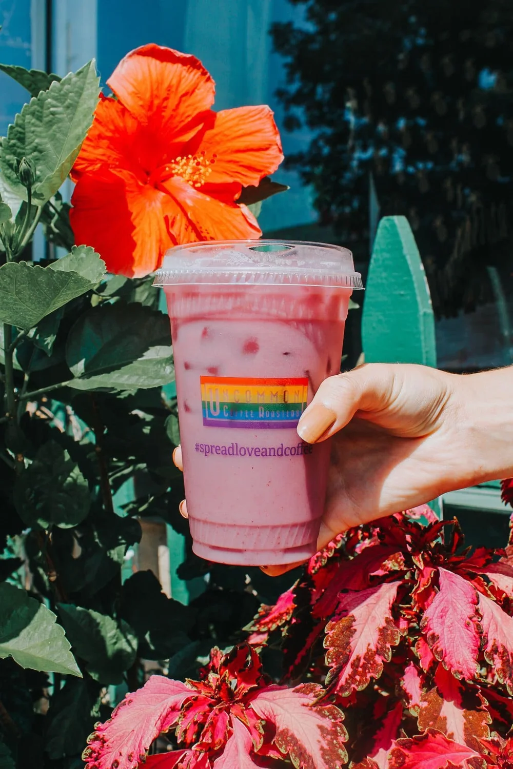 Photo Gallery — Sip Coffee House & Artisan Cafe