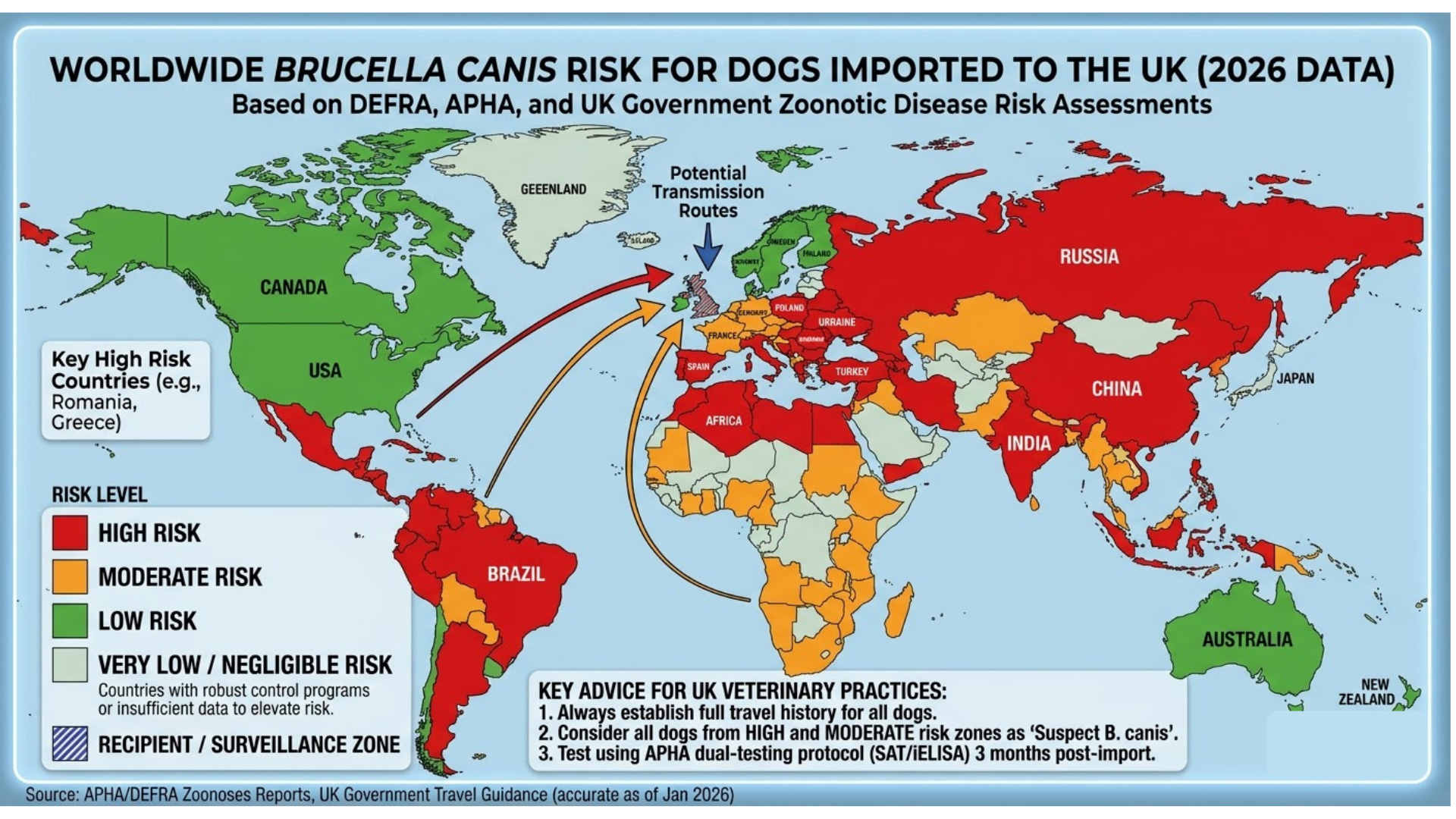 Imported & Travelled Dogs: Brucellosis & Disease Screening — Real Vets