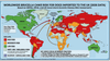 Imported & Travelled Dogs: Brucellosis & Disease Screening — Real Vets