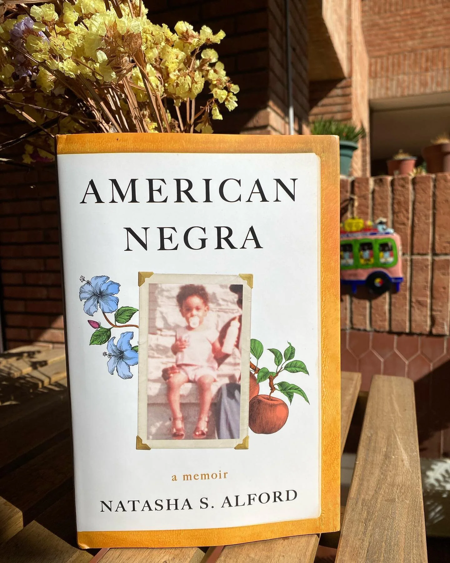 How Do You Make a Living as a Writer? Lessons from Langston Hughes ...