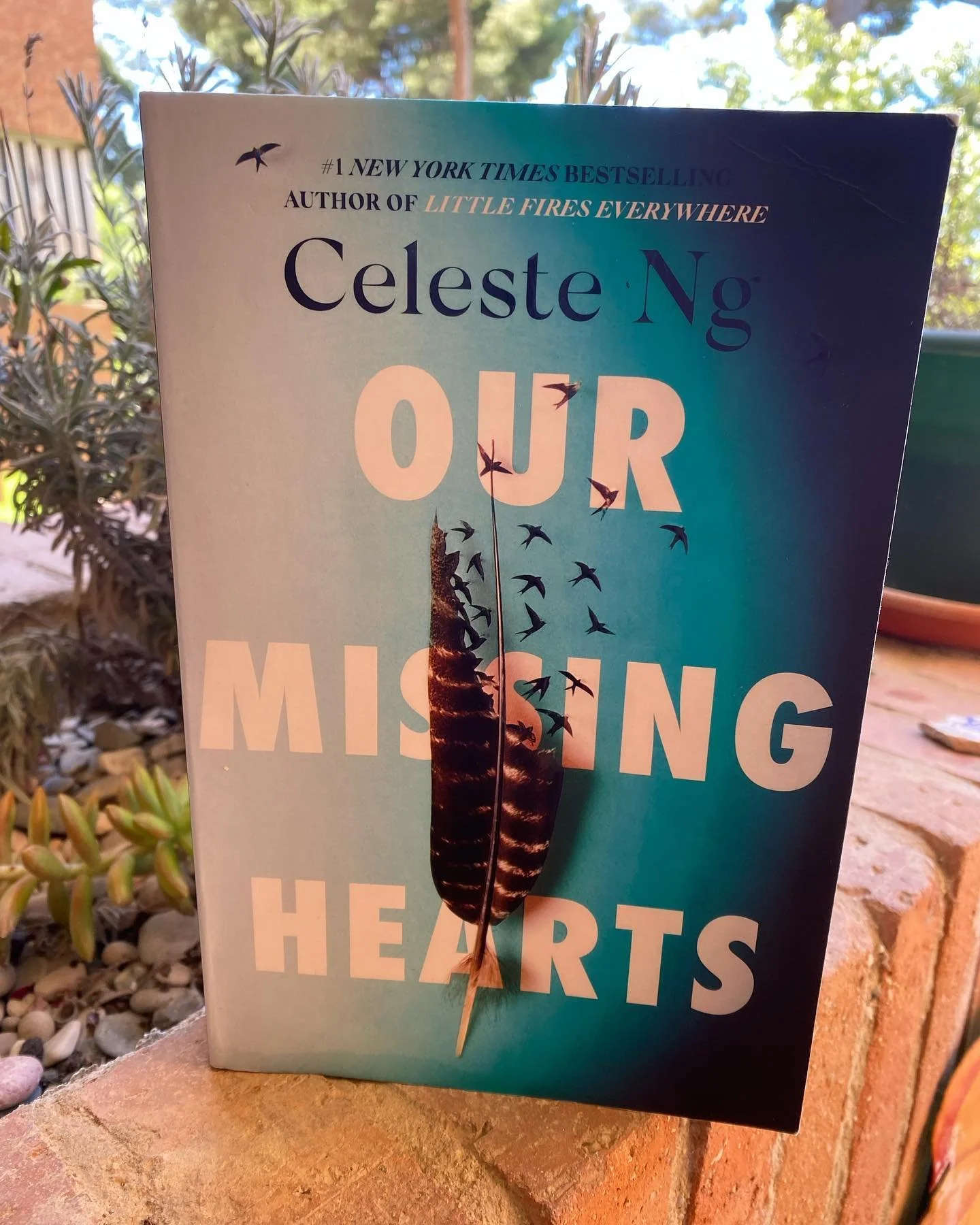 Reed, Write, & Create