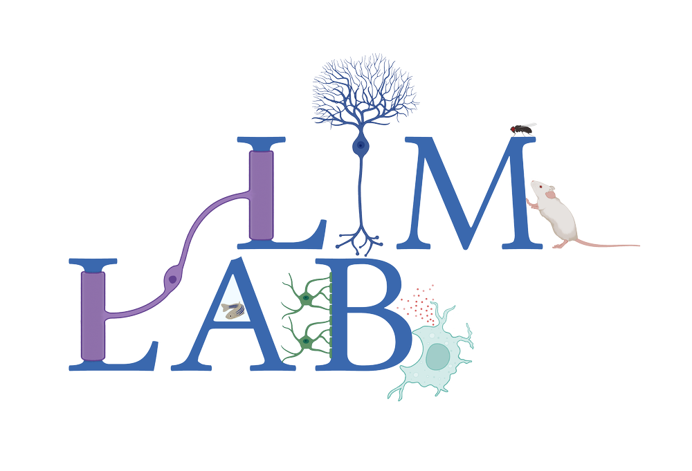 THE LIM LAB