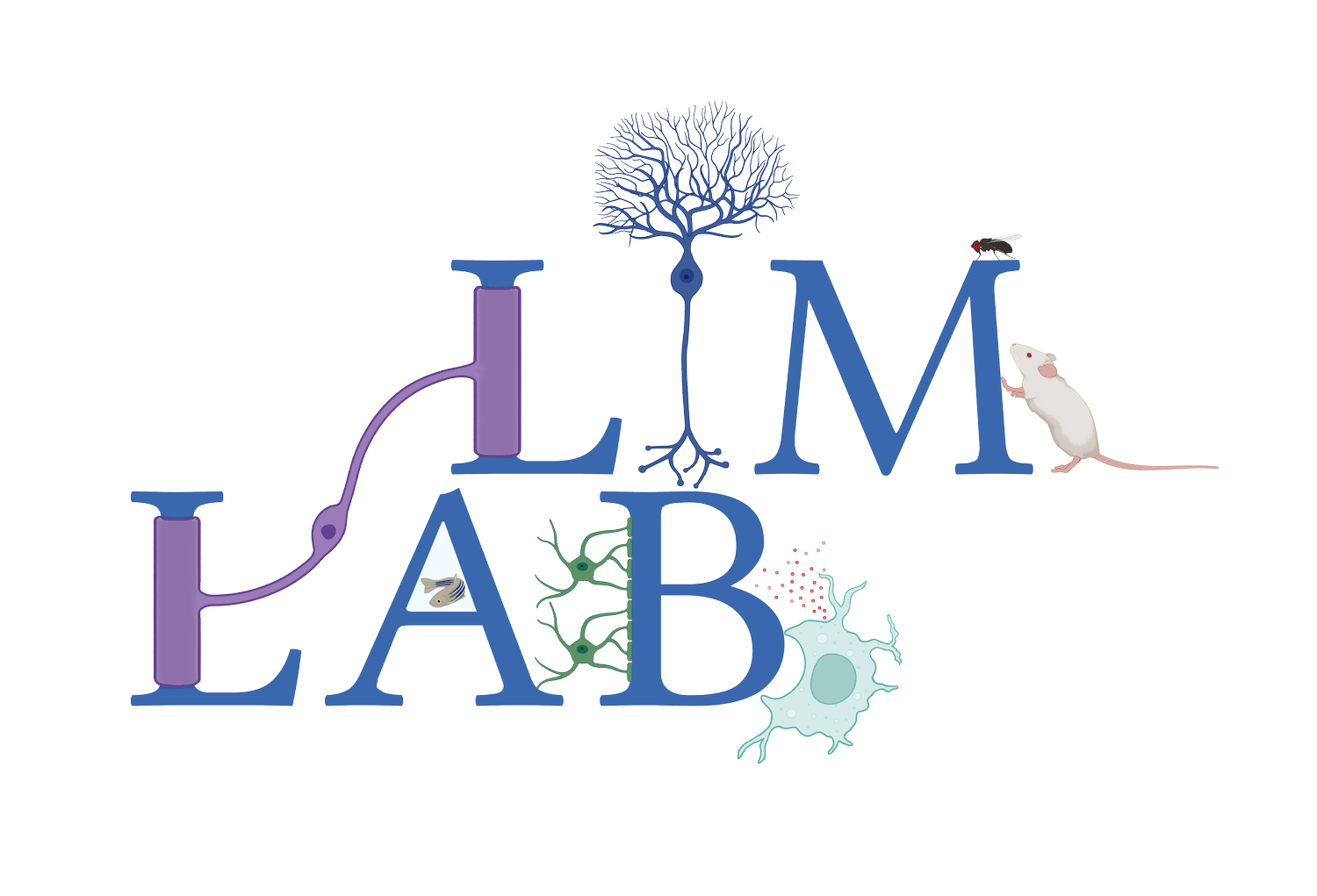 THE LIM LAB