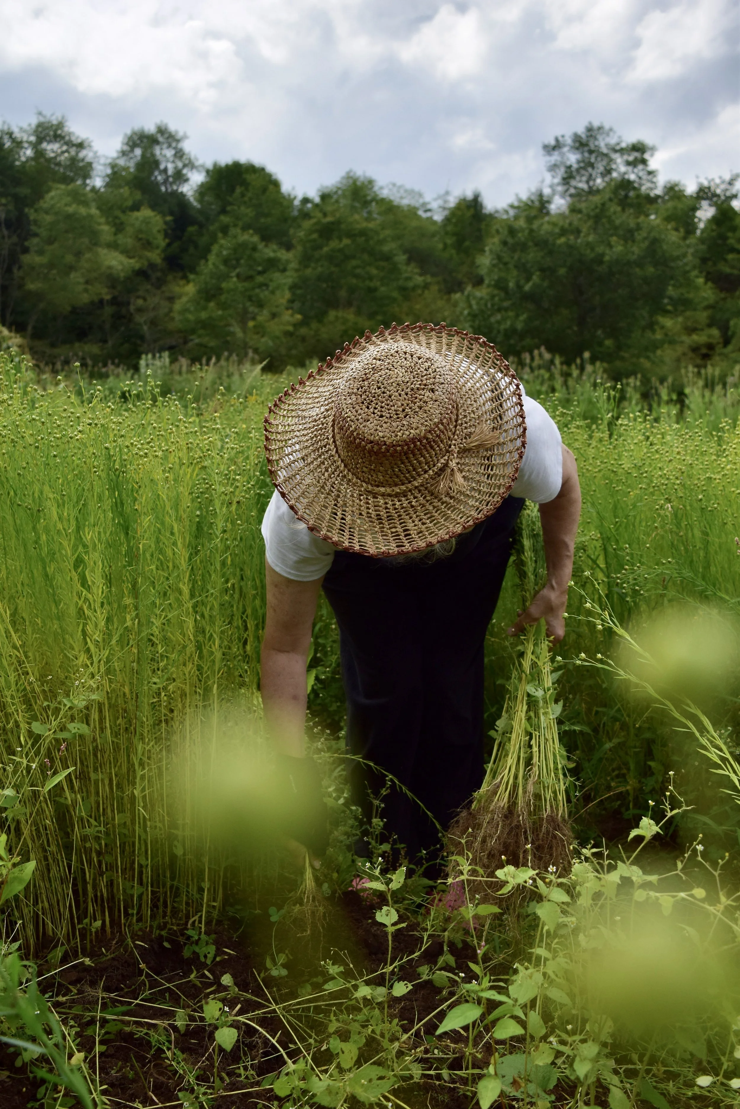 Fiber Arts Residency — Gael Roots Community Farm