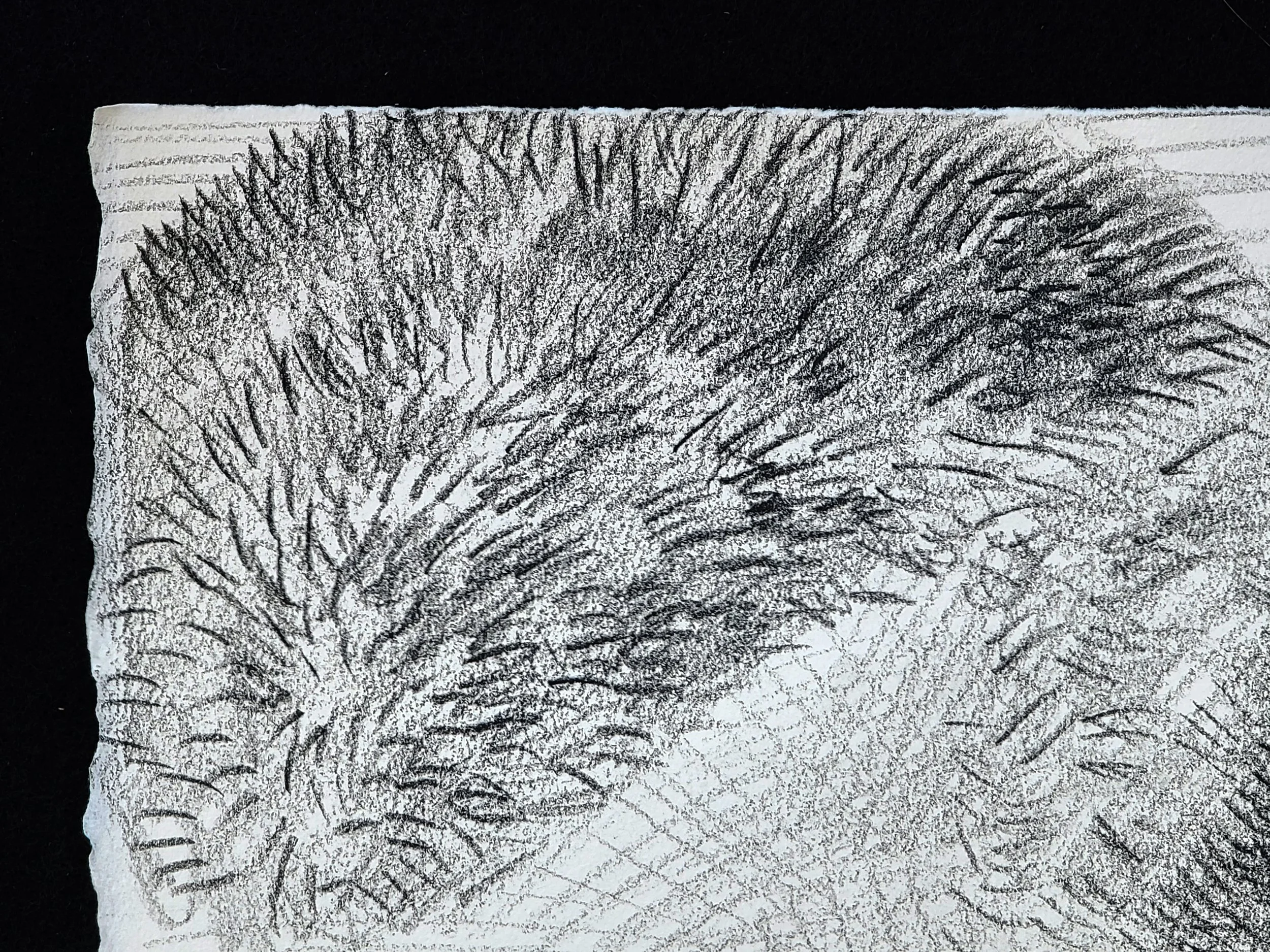 Indirect, 9x12 inches crayon on paper by Kenney Mencher — Kenney ...