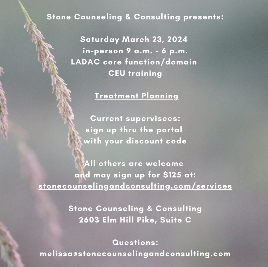 Services — Stone Counseling & Consulting
