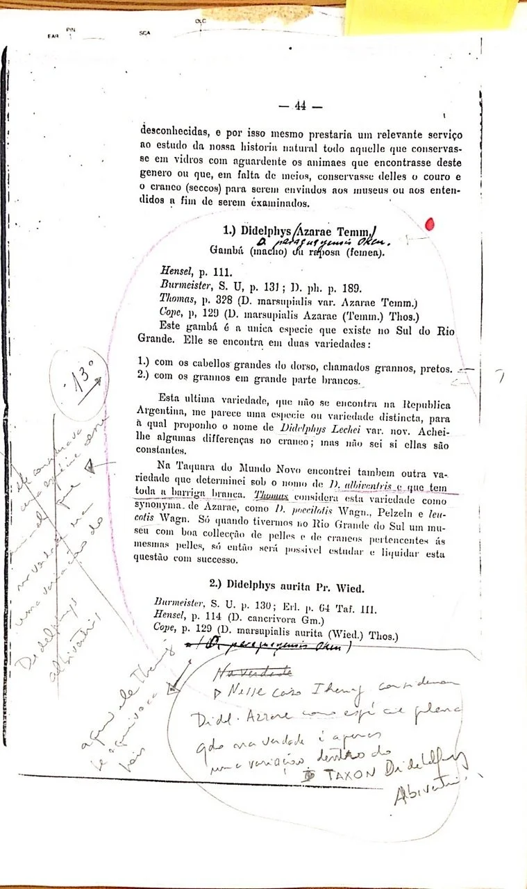 2009 | Biblioteca dos Enganos — Walmor Corrêa