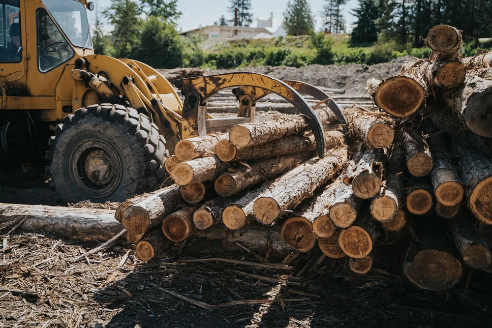 Our Vision — West Bay Forest Products — Your Western Red Cedar Experts
