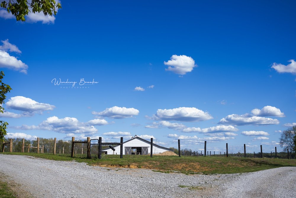 General 4 — Winding Brooke Mini Ranch