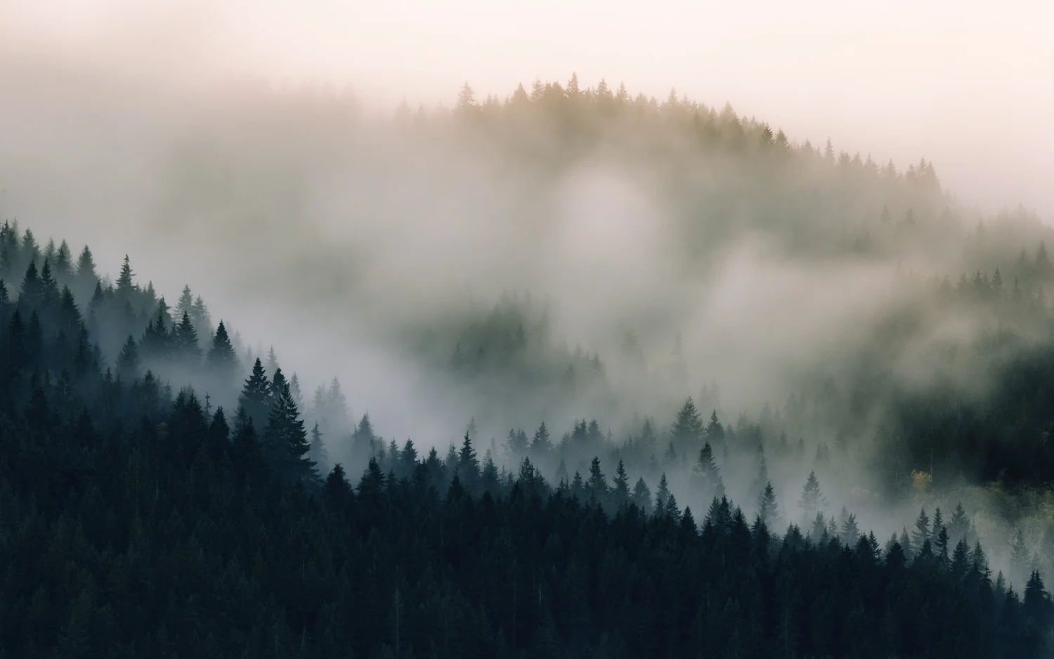 TAOH Wellness is a Holistic Health & Well-being Collective, located in ...