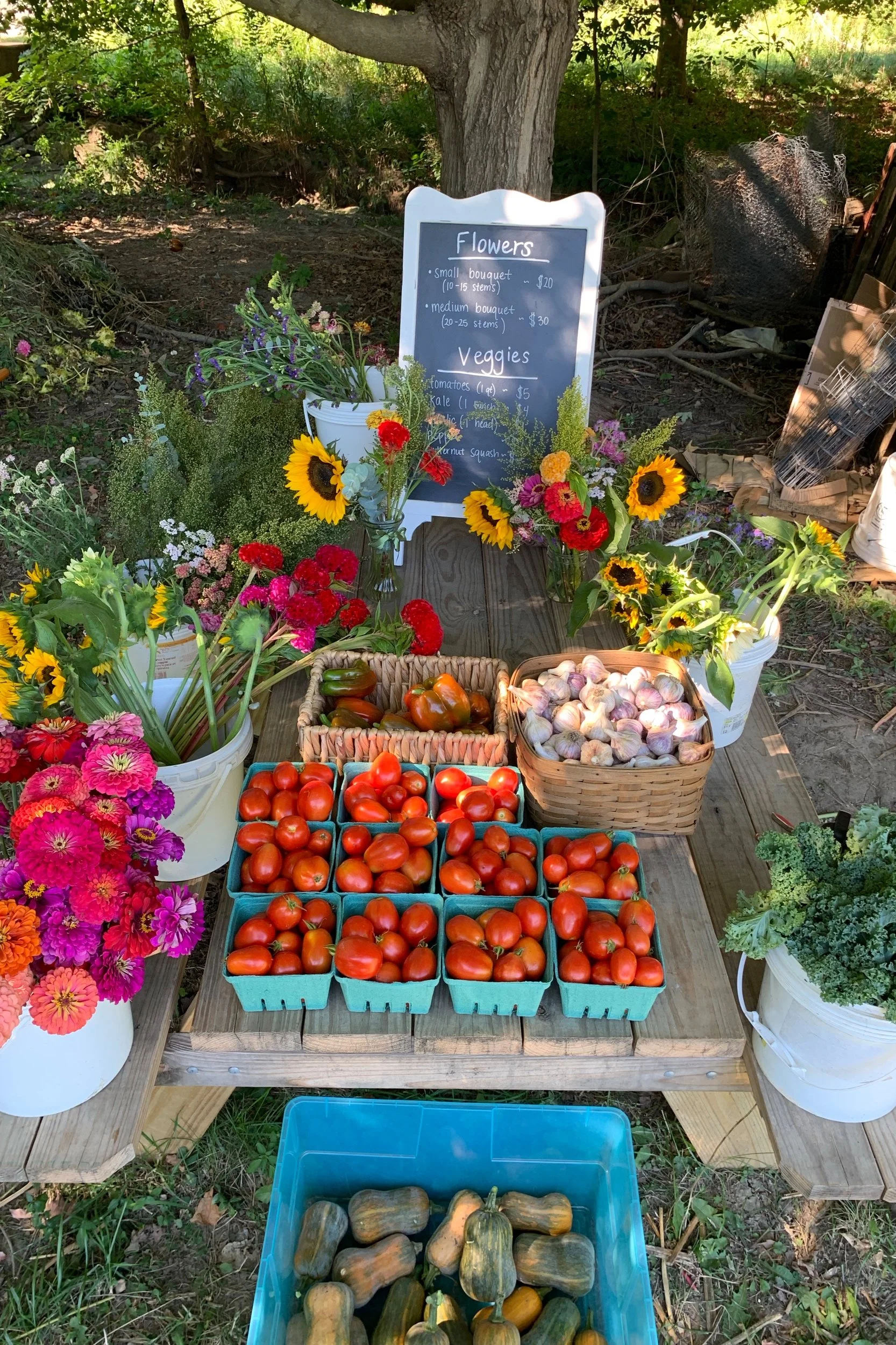 Fields Market Garden