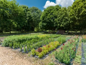 Gallery — Fields Market Garden
