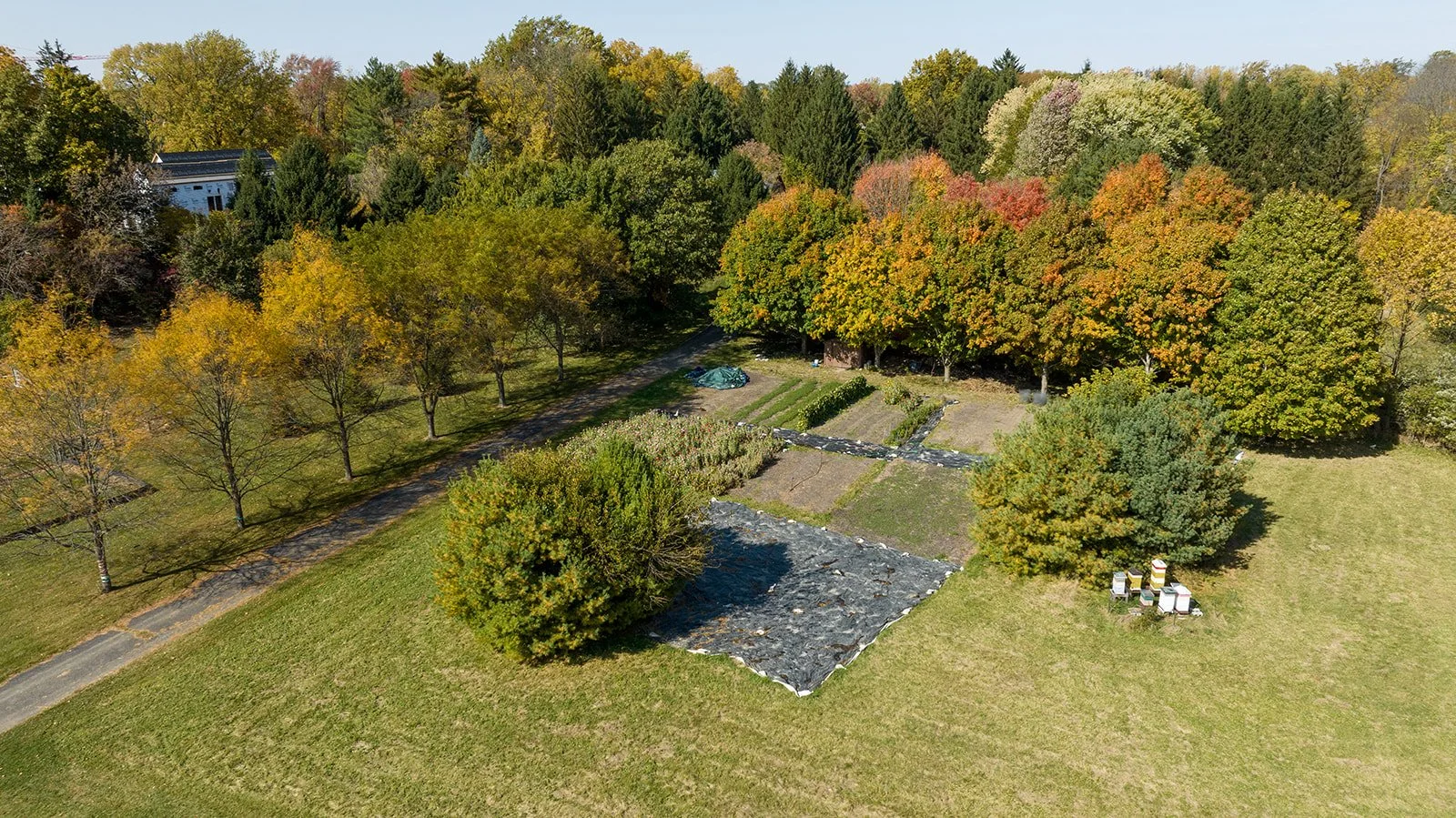 Fields Market Garden