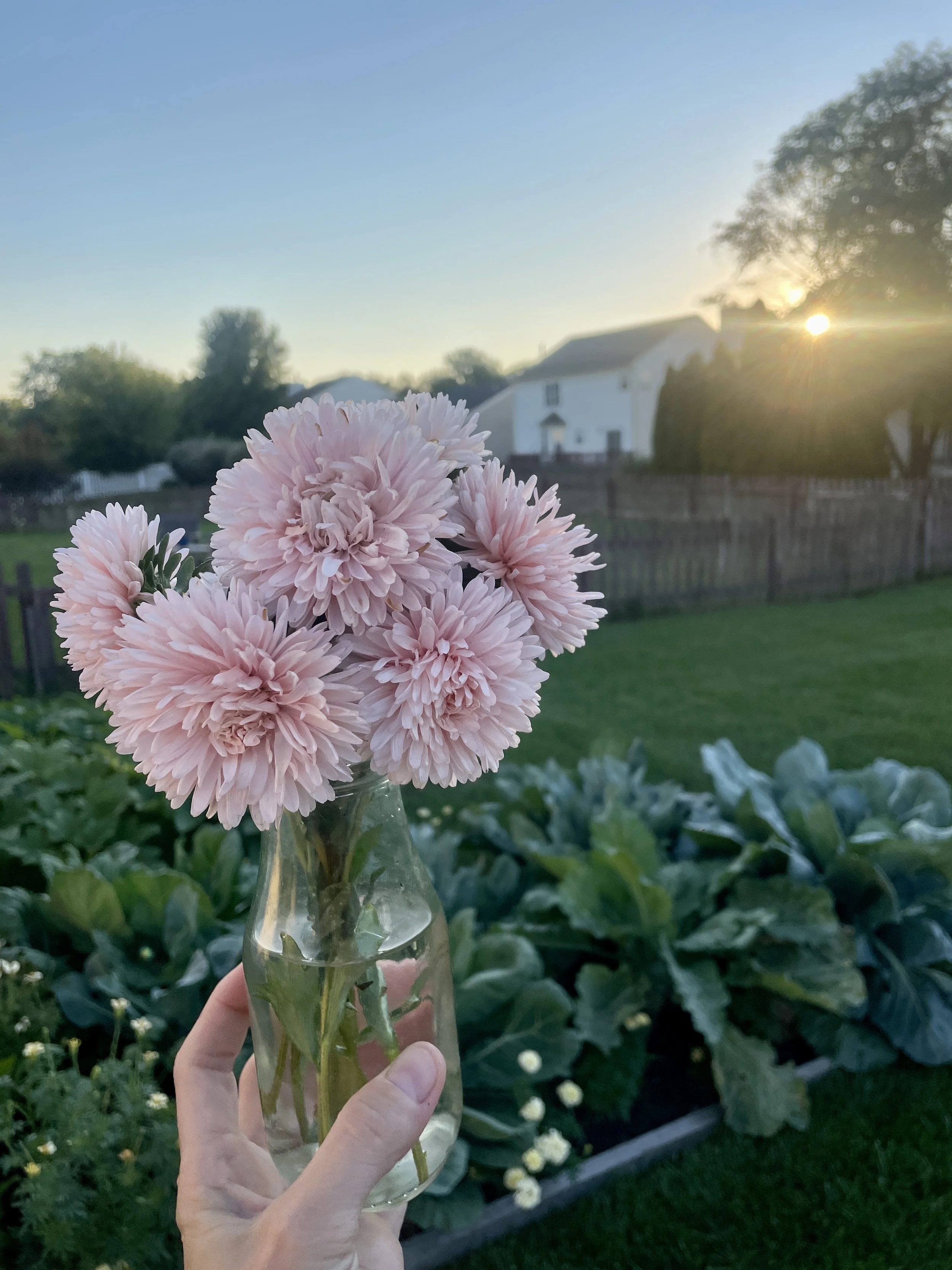 Fields Market Garden