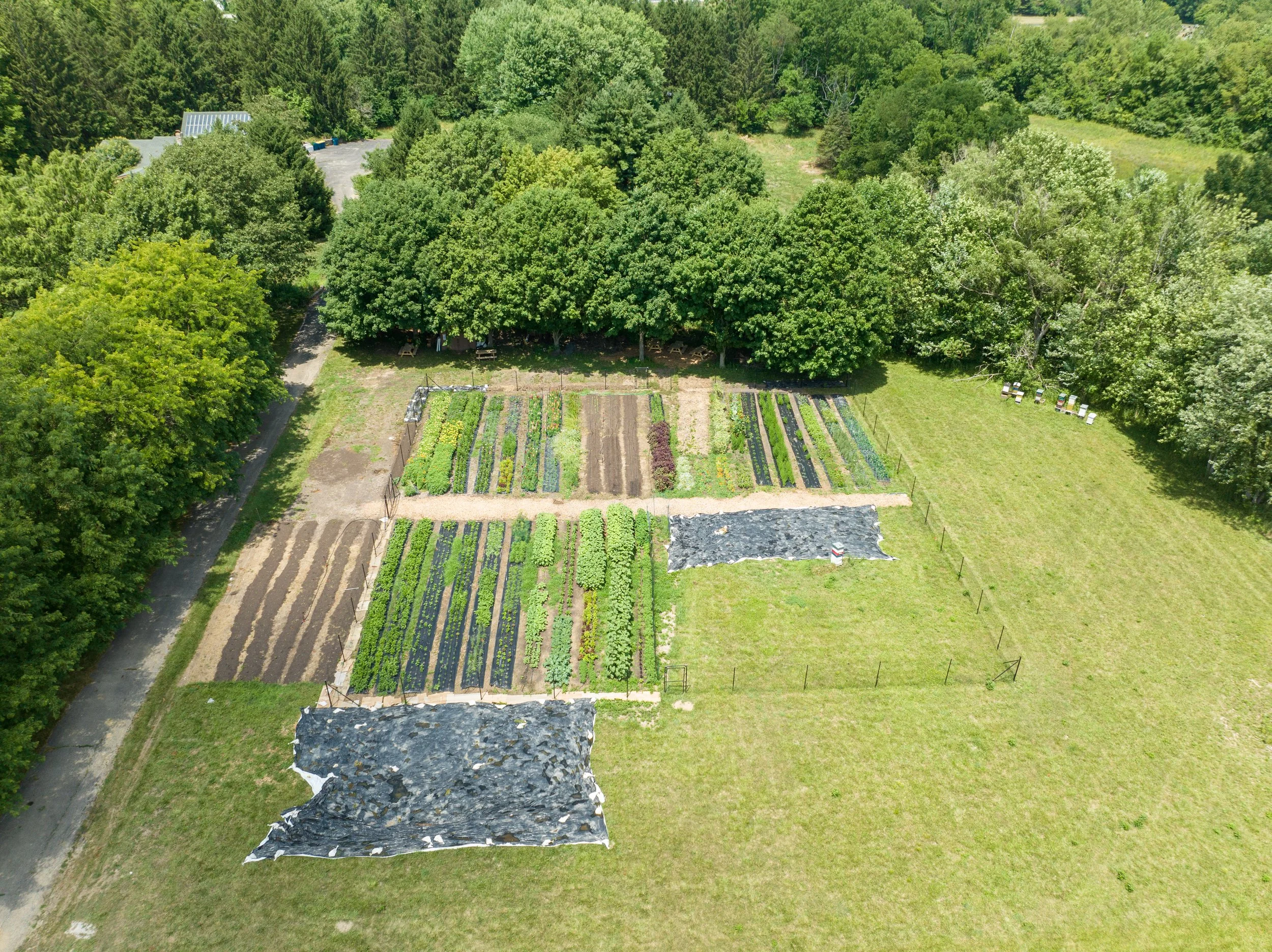 Gallery — Fields Market Garden