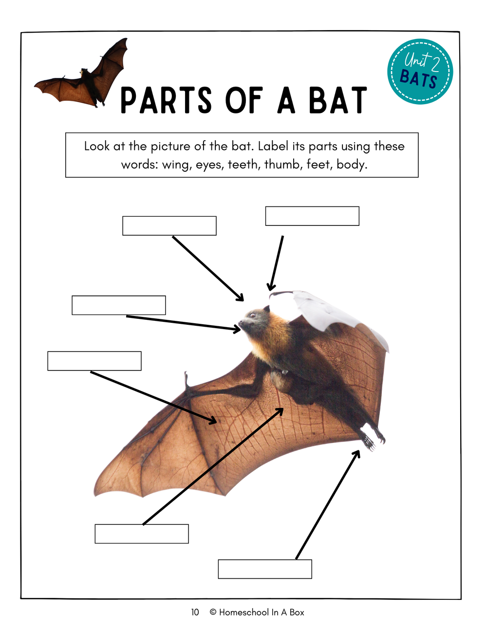 ABC Literature Unit Study with hands-on activities. Preschool ABC Unit ...