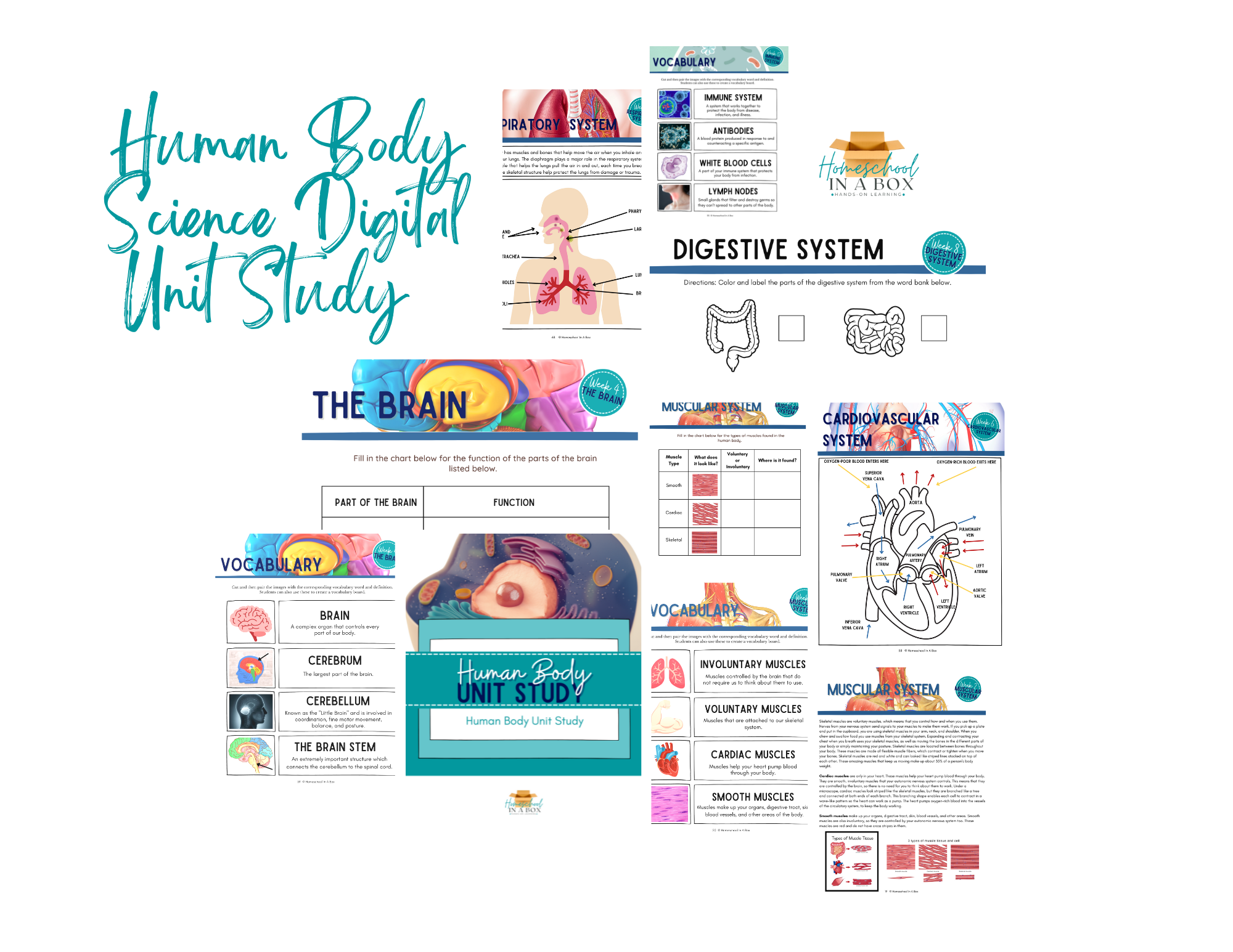 Marine Life Digital Science Unit Study — Homeschool In A Box